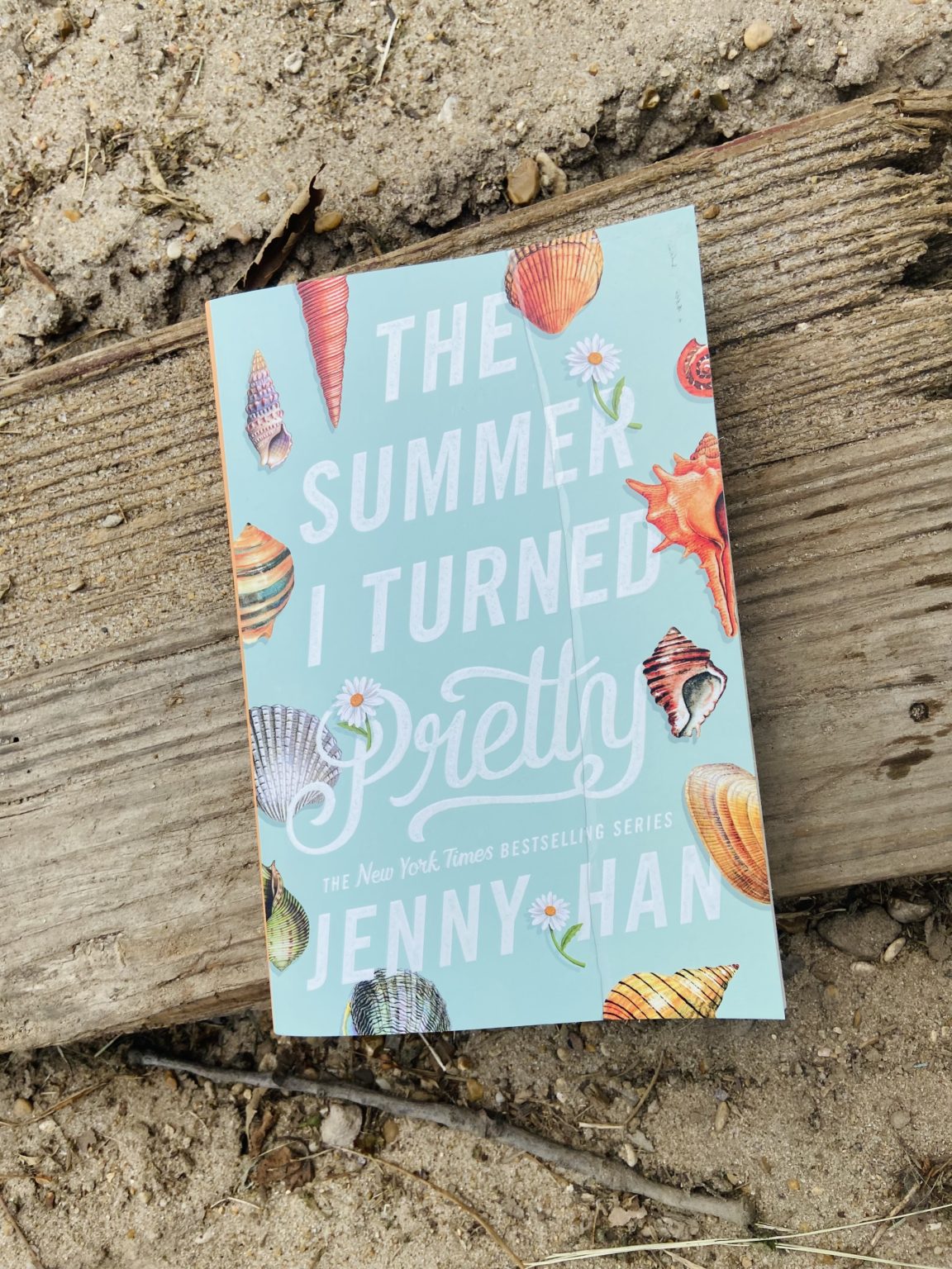 Books You Simply Must Read this Summer