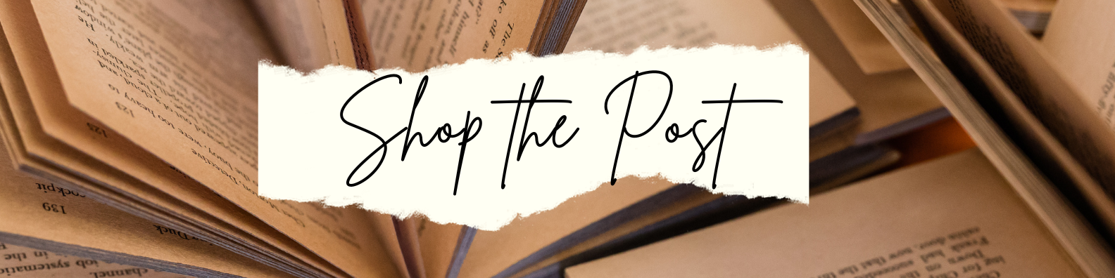 The Best Books to Read in August