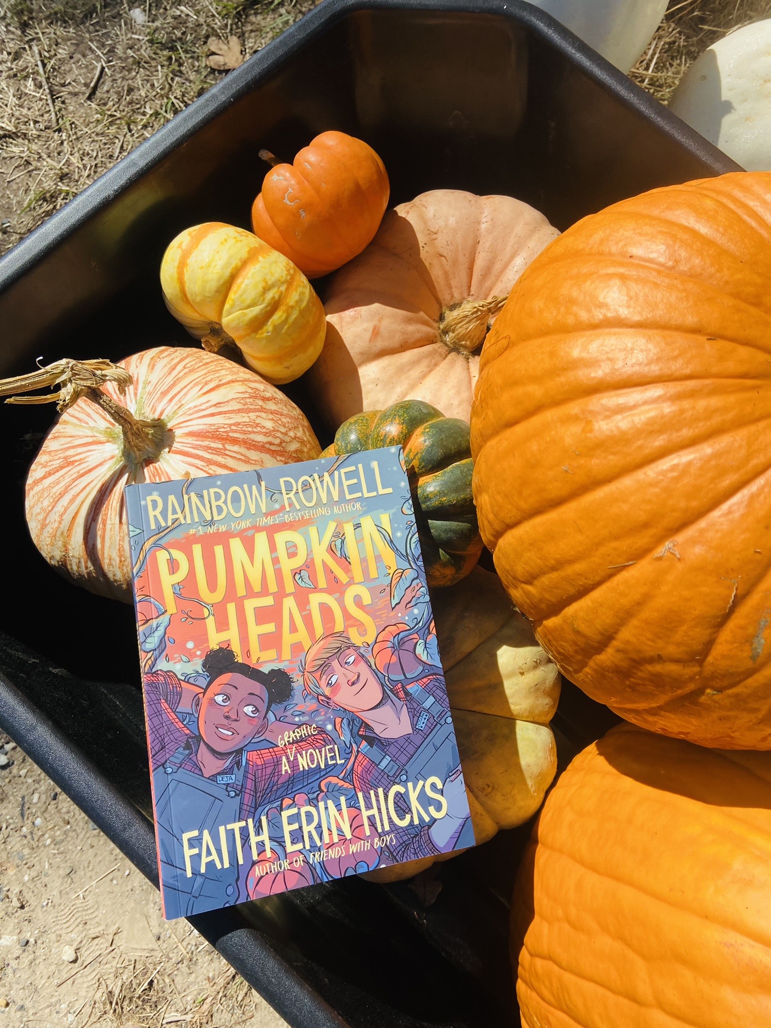 Autumn Starter Pack: Movies, Music, Shows, Podcast & Activity ...
