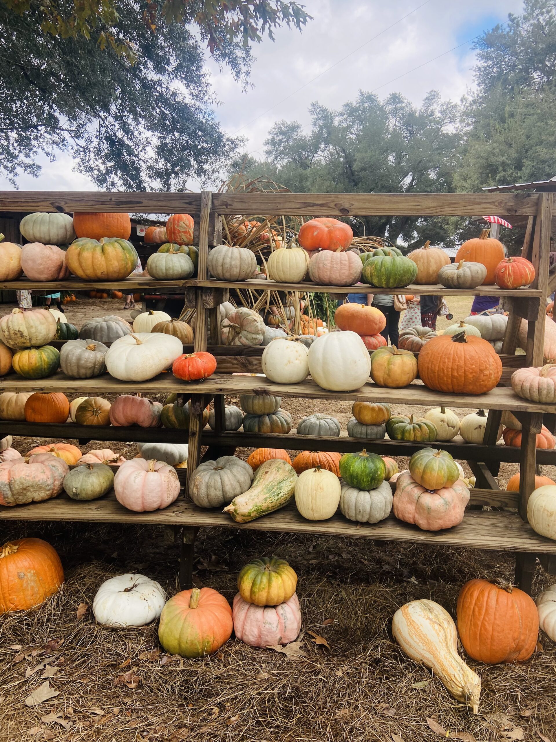 Autumn Starter Pack: Movies, Music, Shows, Podcast & Activity ...