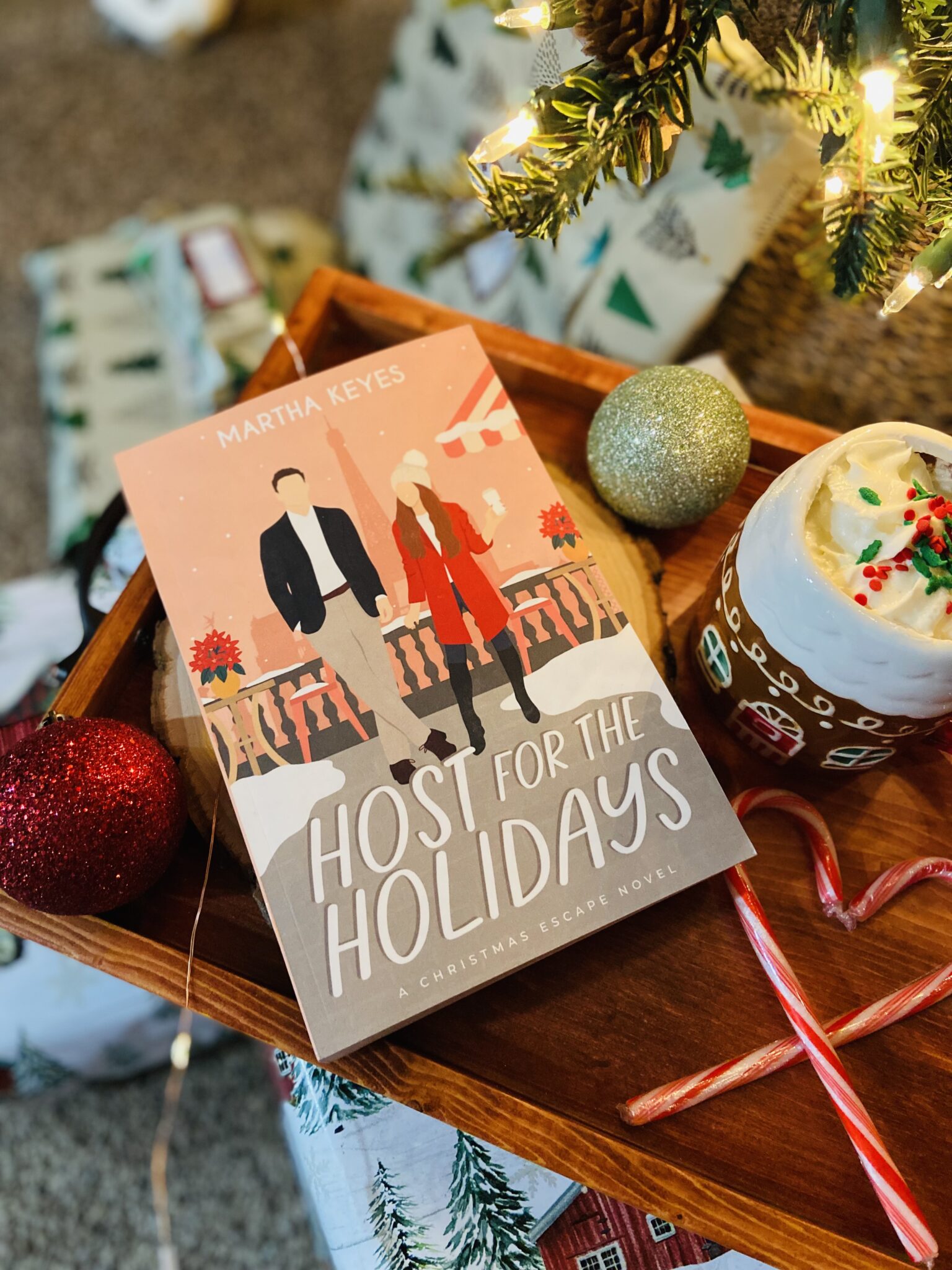Christmas Book Recommendations for Your December TBR