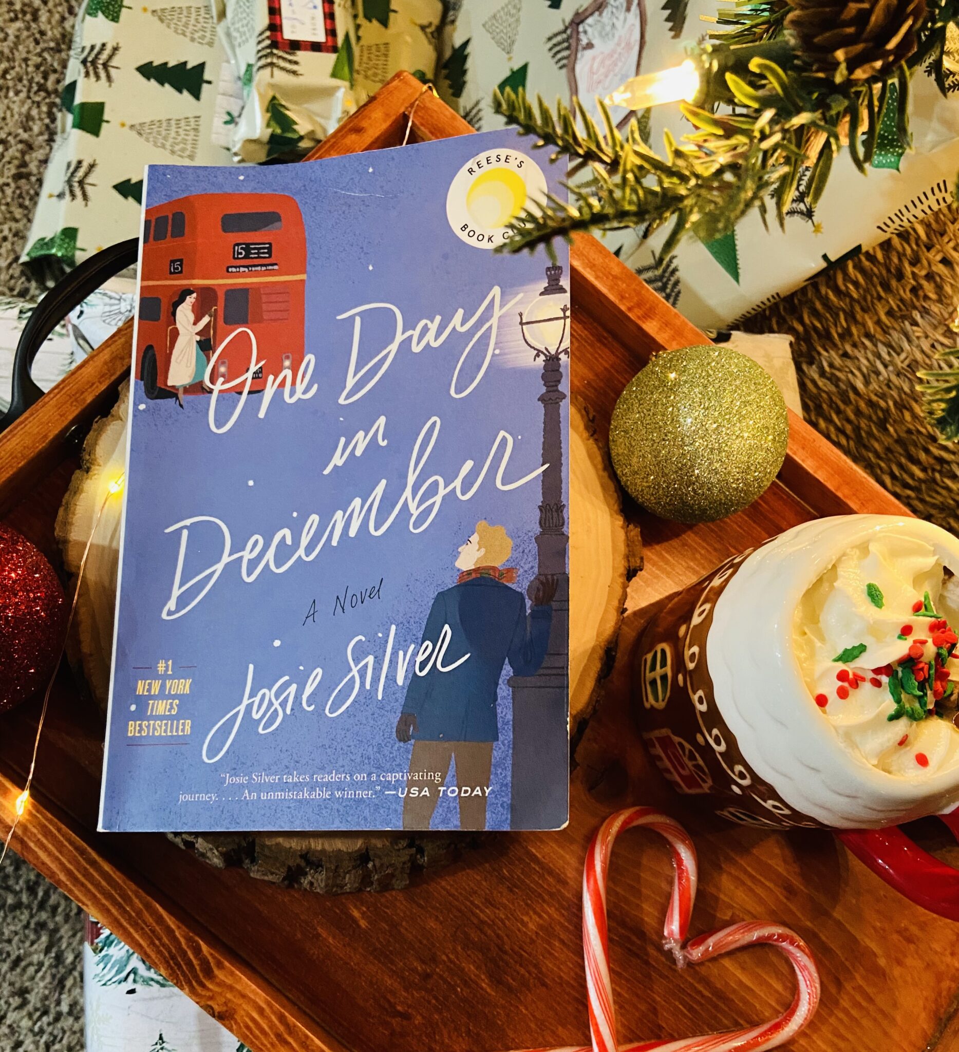 Christmas Book Recommendations for Your December TBR - NellieCoody.com