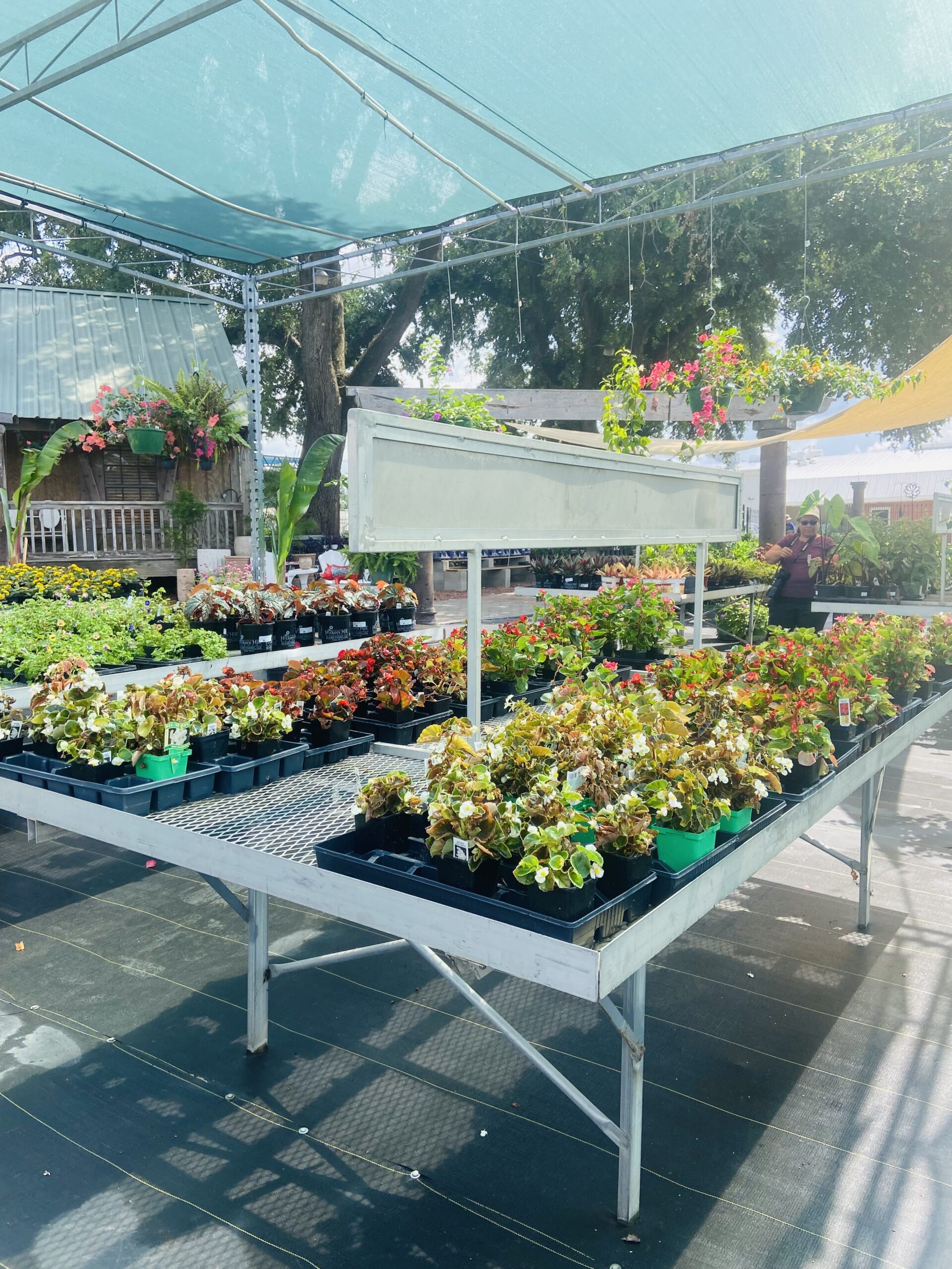 Let’s Spend the Day in Lafayette, Louisiana