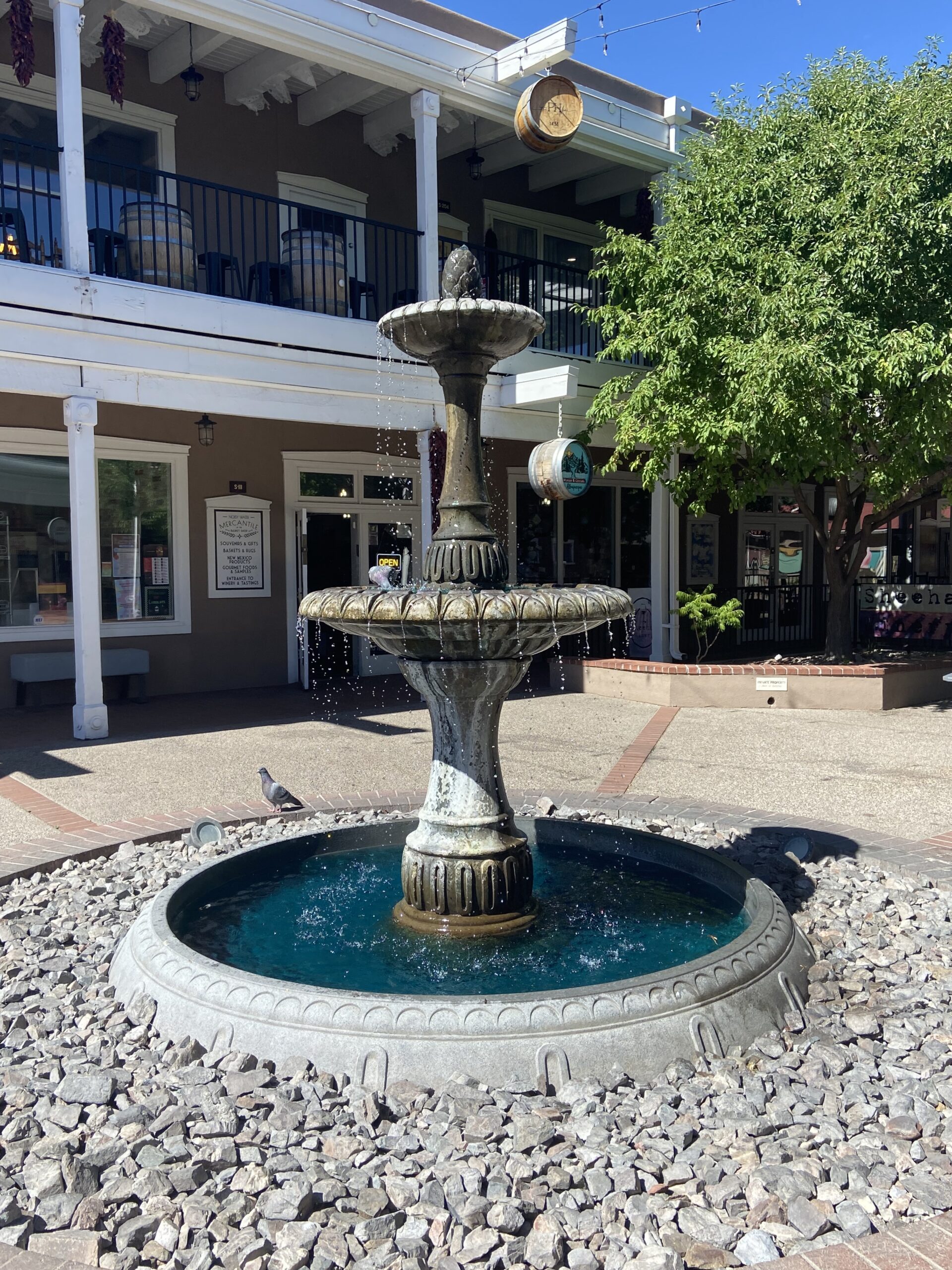 Adventures Await in Albuquerque, New Mexico: What to Do & Where to Eat