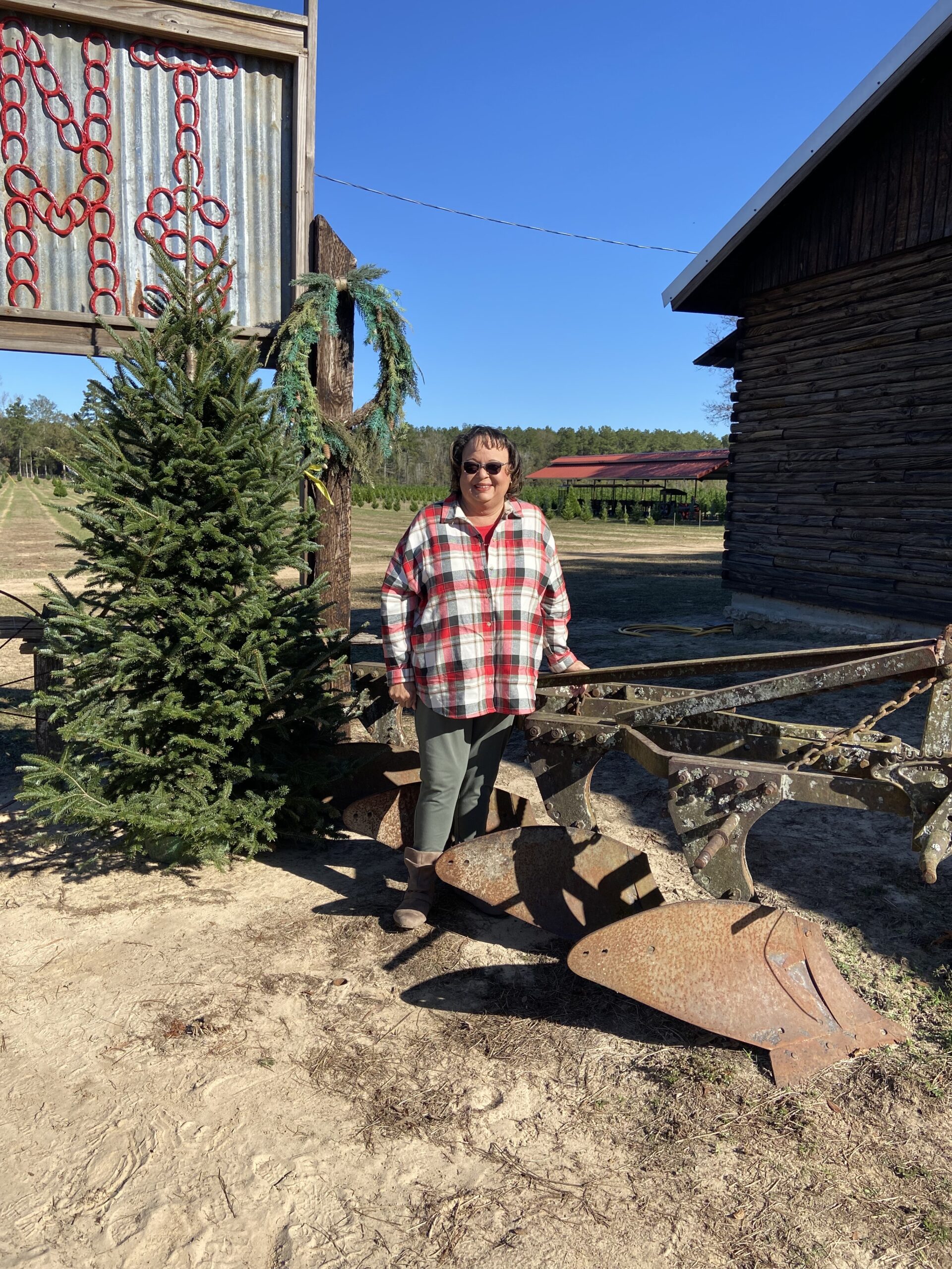 Visiting Our Favorite Christmas Tree Farm