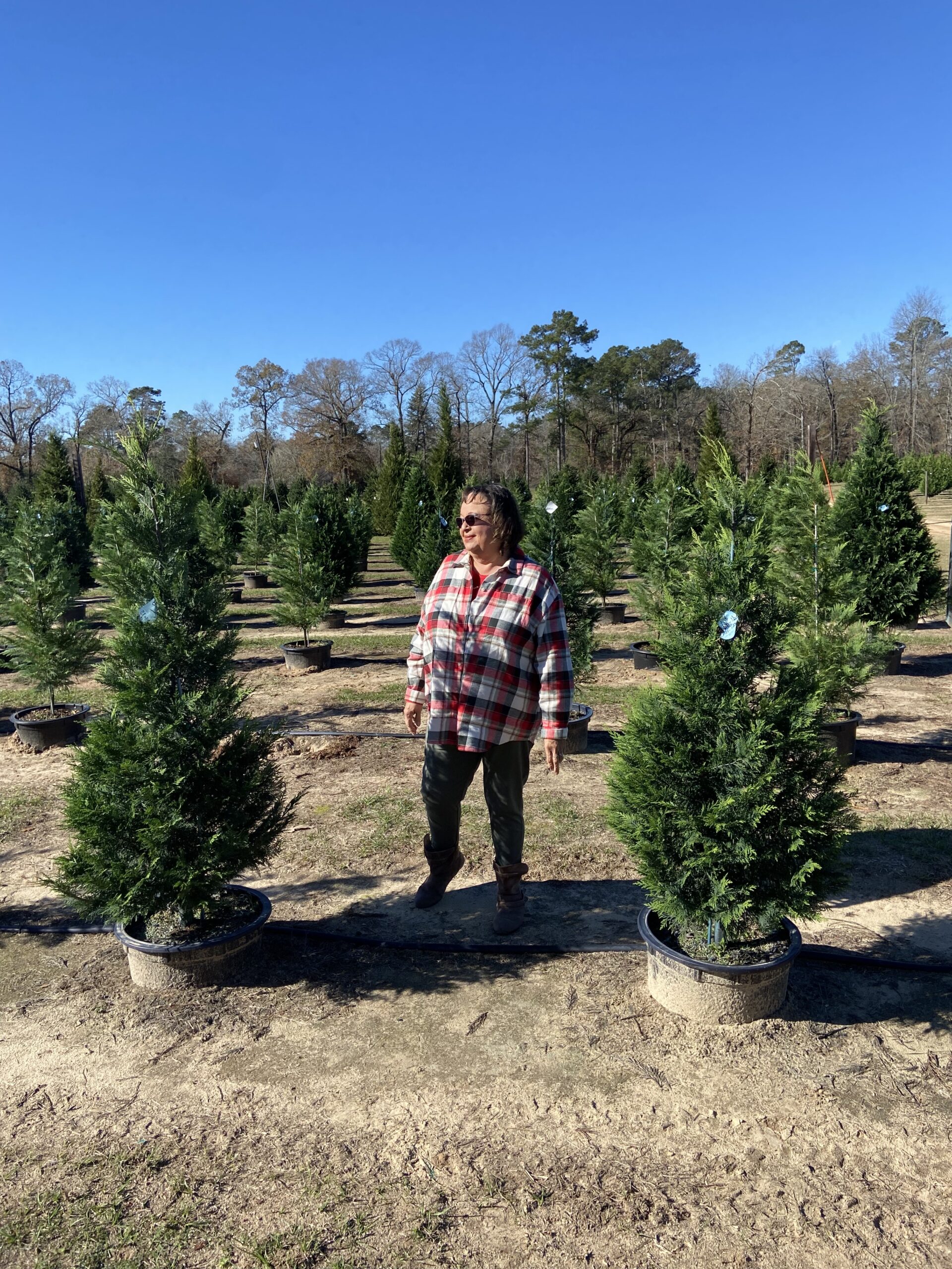 Visiting Our Favorite Christmas Tree Farm