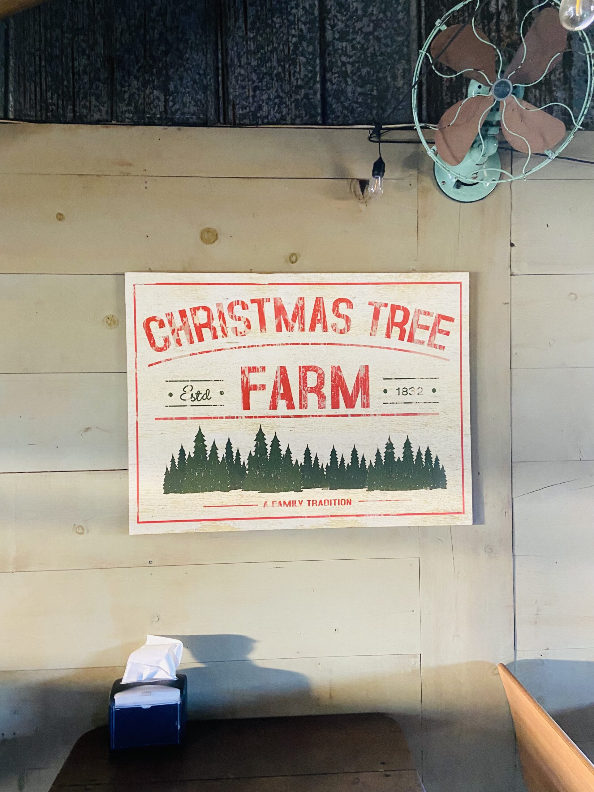 Visiting Our Favorite Christmas Tree Farm