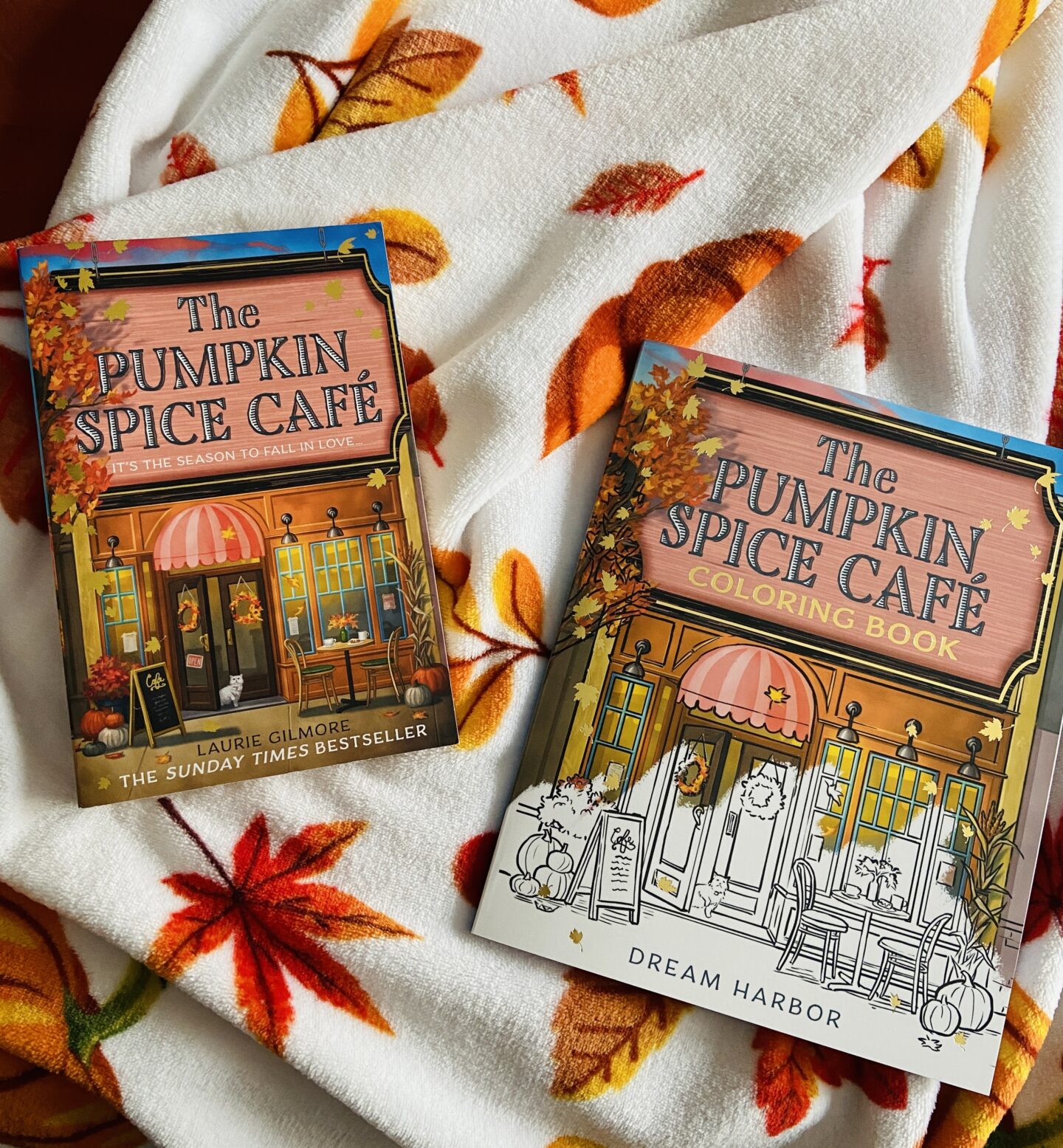 Cozy Books for Fall