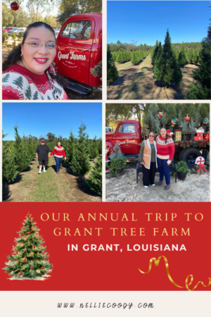 Our Annual Trip to Grant Christmas Tree Farm - NellieCoody.com